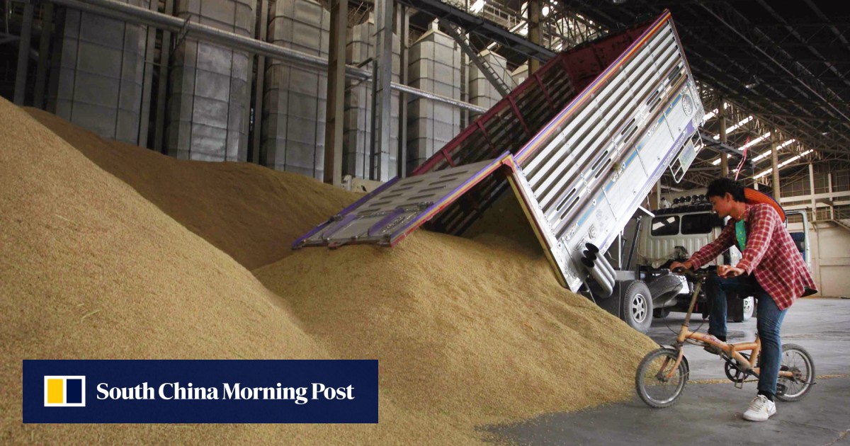 Memories of 2008 food crisis push Asian countries to hoard grain ...