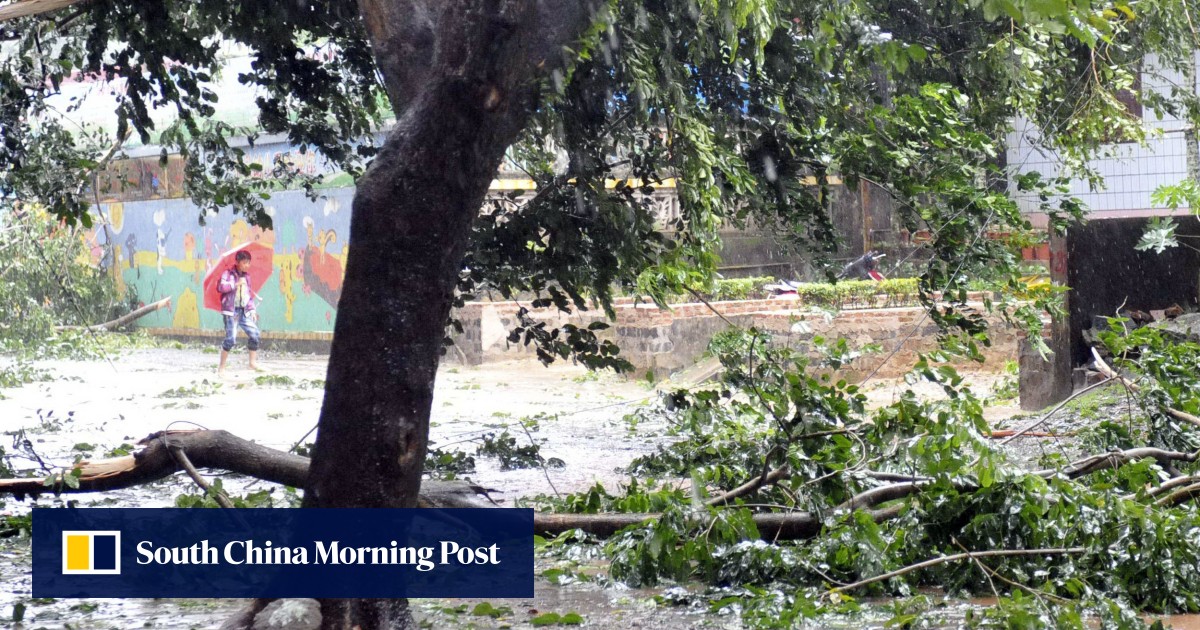 China on high alert as Typhoon Haiyan leaves six missing | South China ...