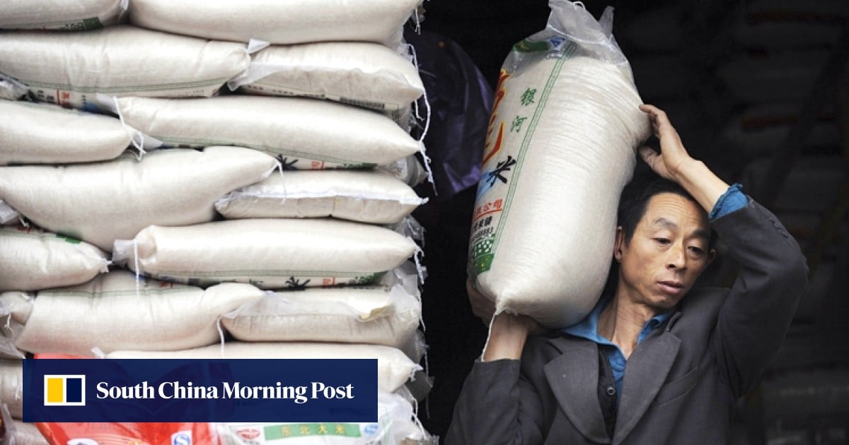 State media tries to persuade Chinese public GMO food is safe | South ...