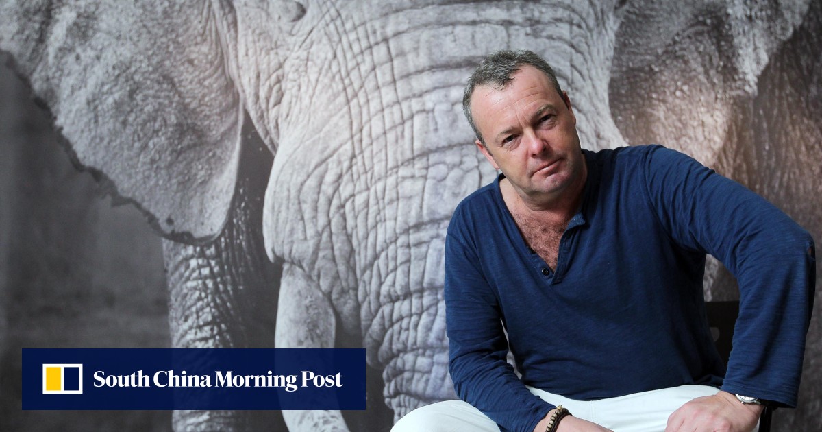 Wildlife photographer David Yarrow talks about getting close up to ...