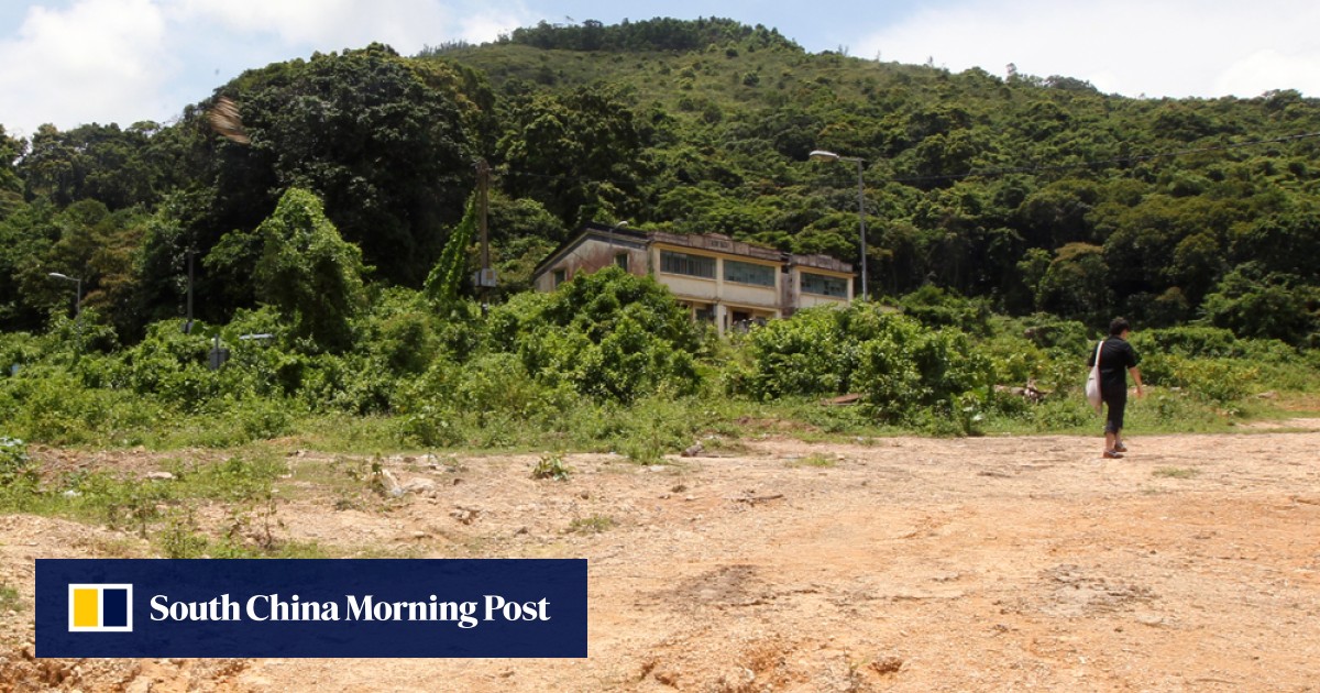 Marsh to be protected in new plan | South China Morning Post