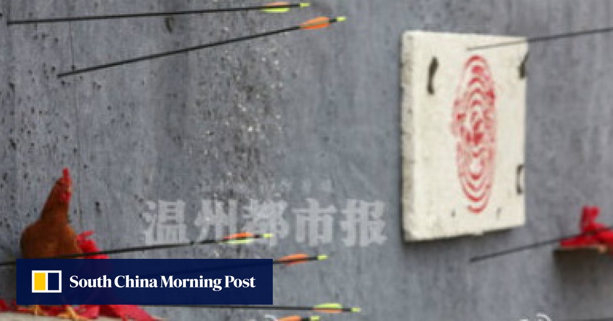 Live chicken shooting backfires at Zhejiang fair | South China Morning Post