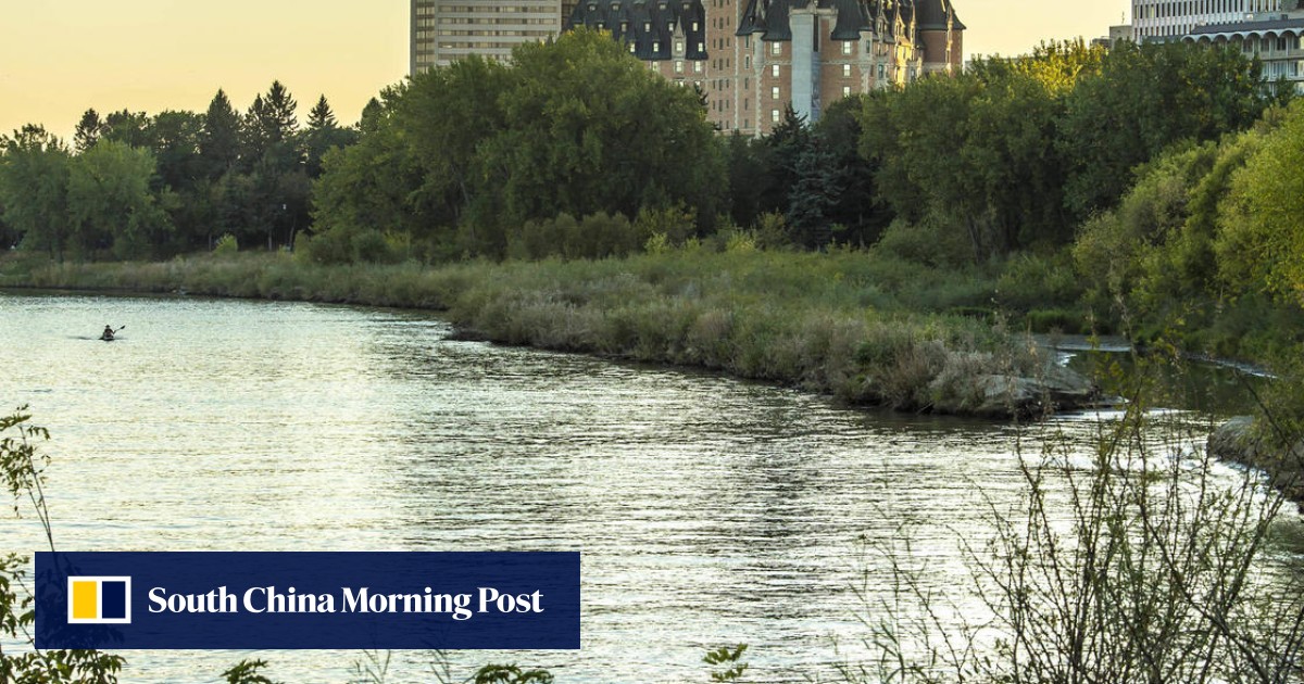 Saskatoon's face has changed with the rise in city's Chinese population ...