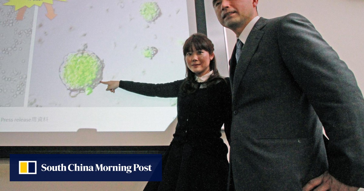 Japanese scientist calls for his stem cell ‘breakthrough’ to be ...