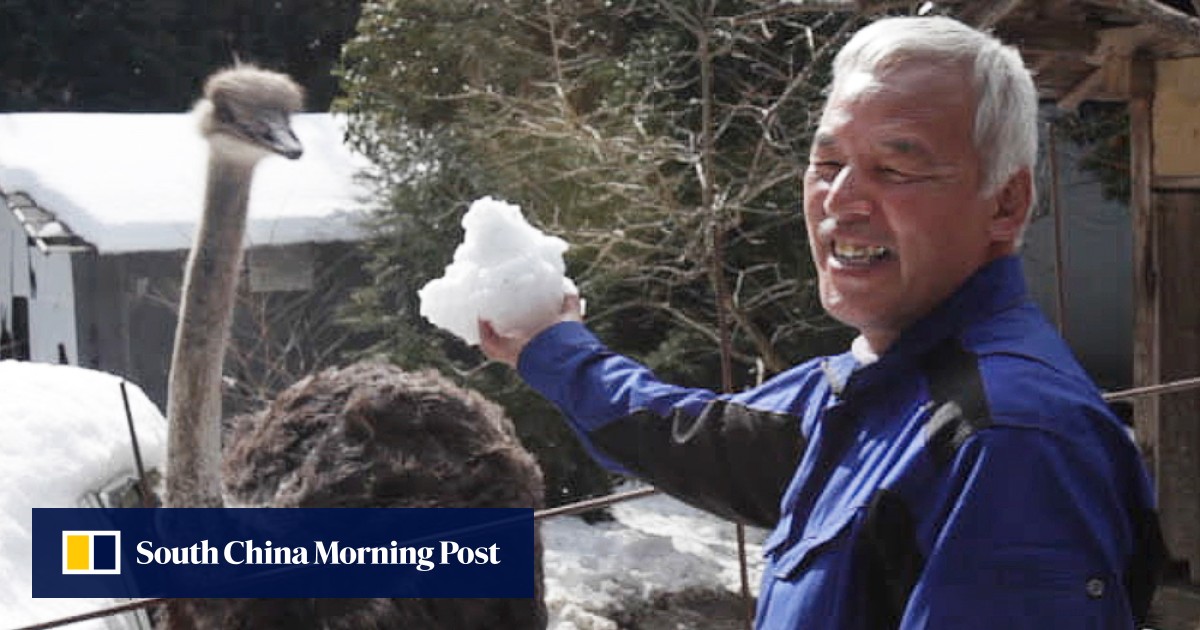 Video | Meet Japan's most radioactive man and his animals | South China ...