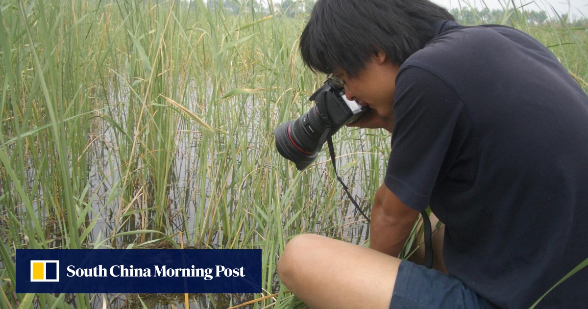 Birdman of Beijing spreads the word about feathered friends | South ...
