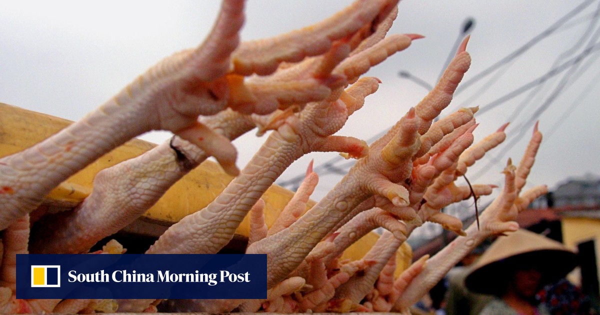120 tonnes of spoiled food seized from smugglers in Nanning, Guangxi ...