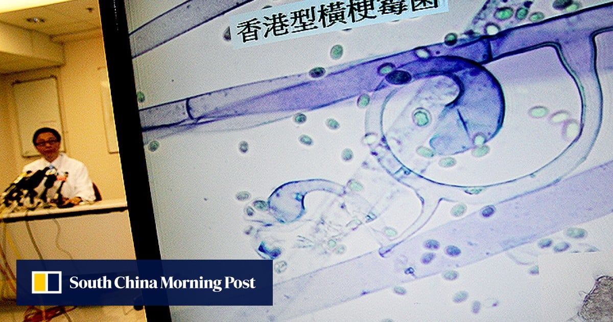 New | One new superbug infection every 18 minutes in Hong Kong public ...