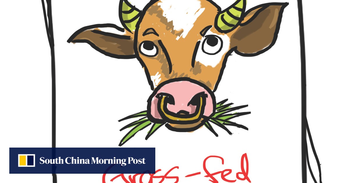 Rant: food additives | South China Morning Post