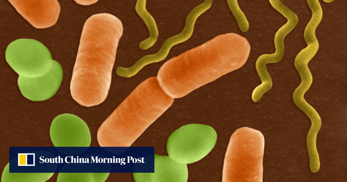 Lab Report | South China Morning Post