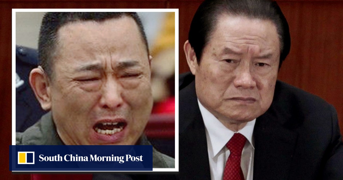 Update | Death sentence for Liu Han, mining tycoon with Zhou Yongkang ...