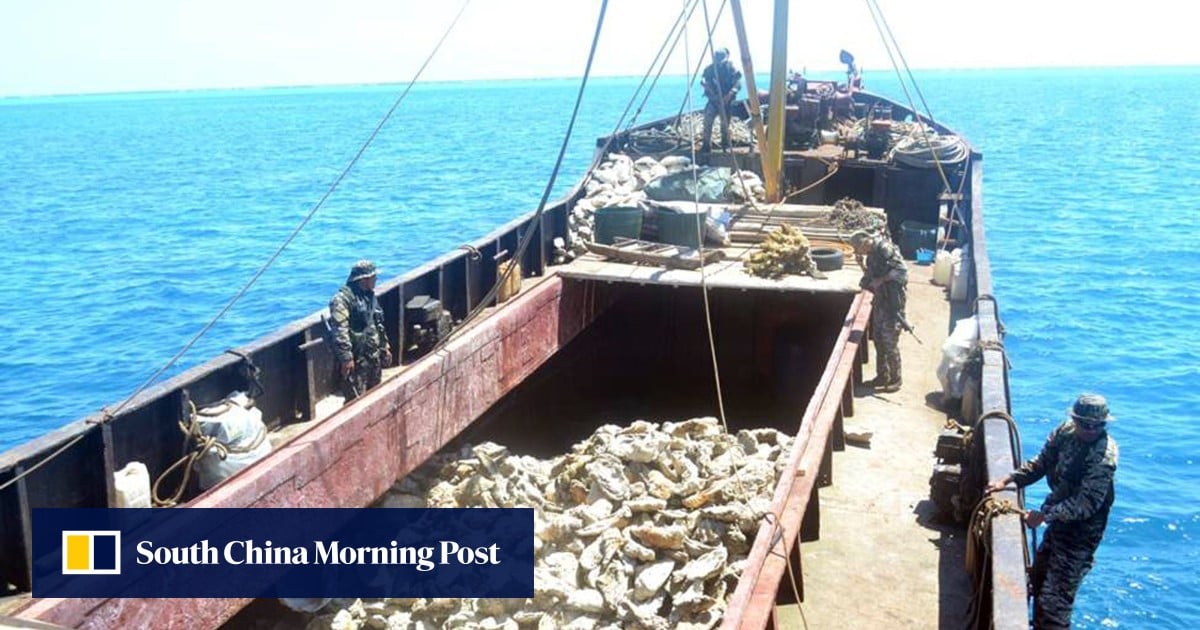 US coastguard releases Chinese boat accused of illegal fishing in North ...