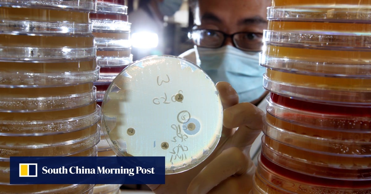 Superbug cases on the rise at Hong Kong's public hospitals | South ...