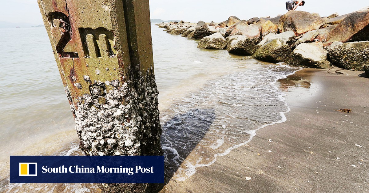 Diggers 'should be warned of danger' | South China Morning Post