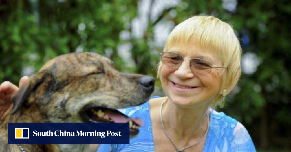 Try talking to your pet like you would on Skype, animal communicator ...