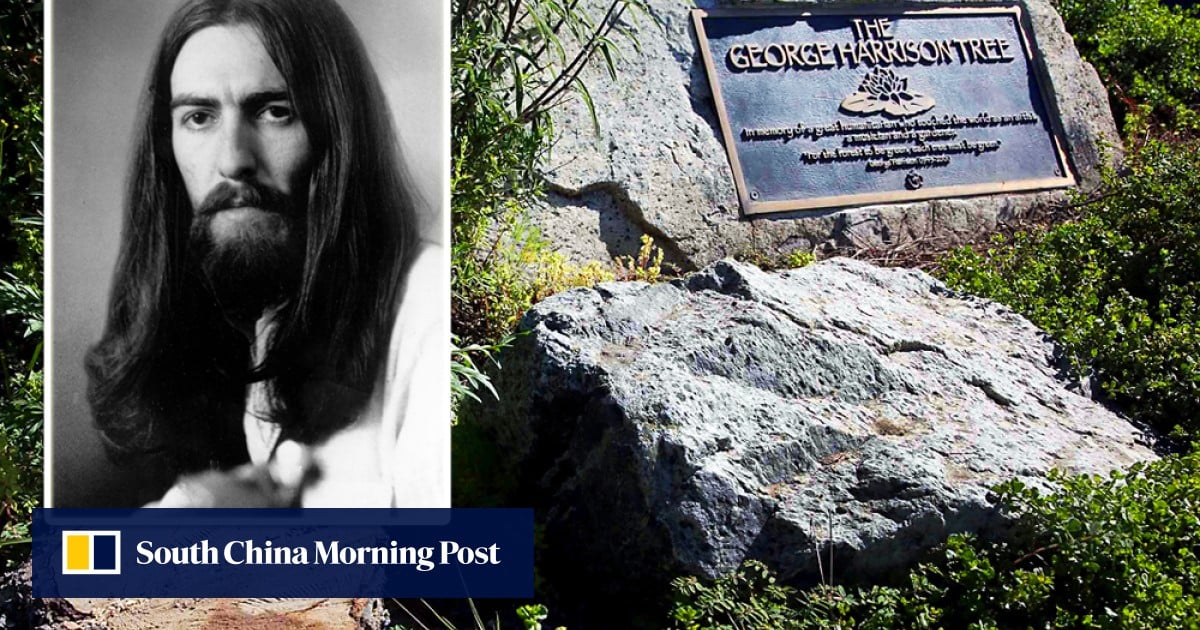 George Harrison memorial tree in Los Angeles killed by beetles | South ...