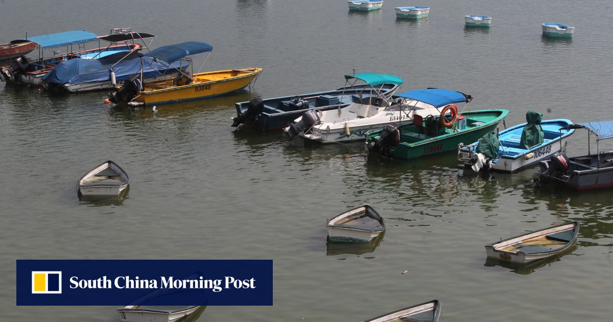 Number of immigrants smuggled from Shenzhen to Hong Kong soars | South ...