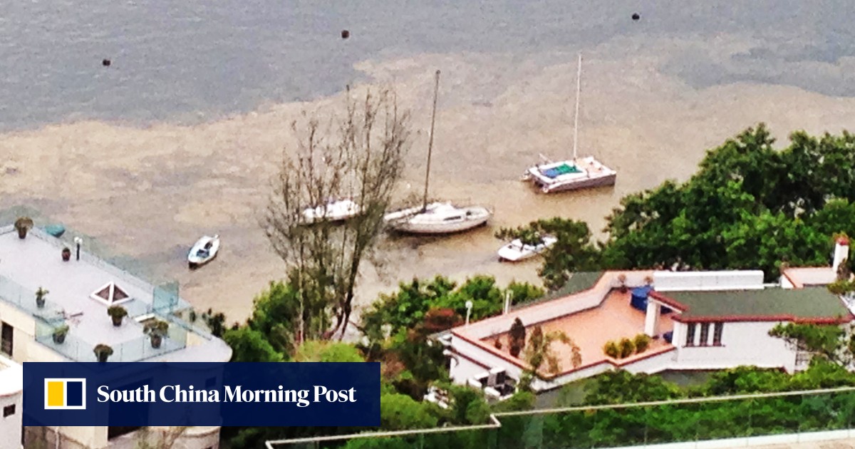 Toxic alert as Hong Kong suffers highest number of red tides in 26 ...