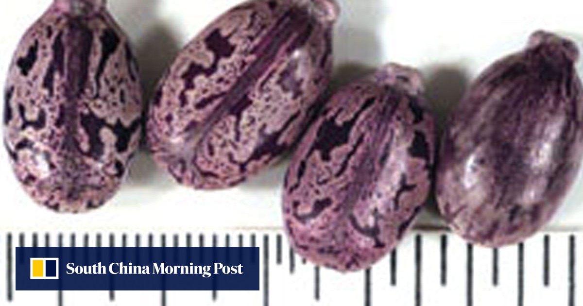 US health agency finds old ricin, other deadly pathogens in labs ...