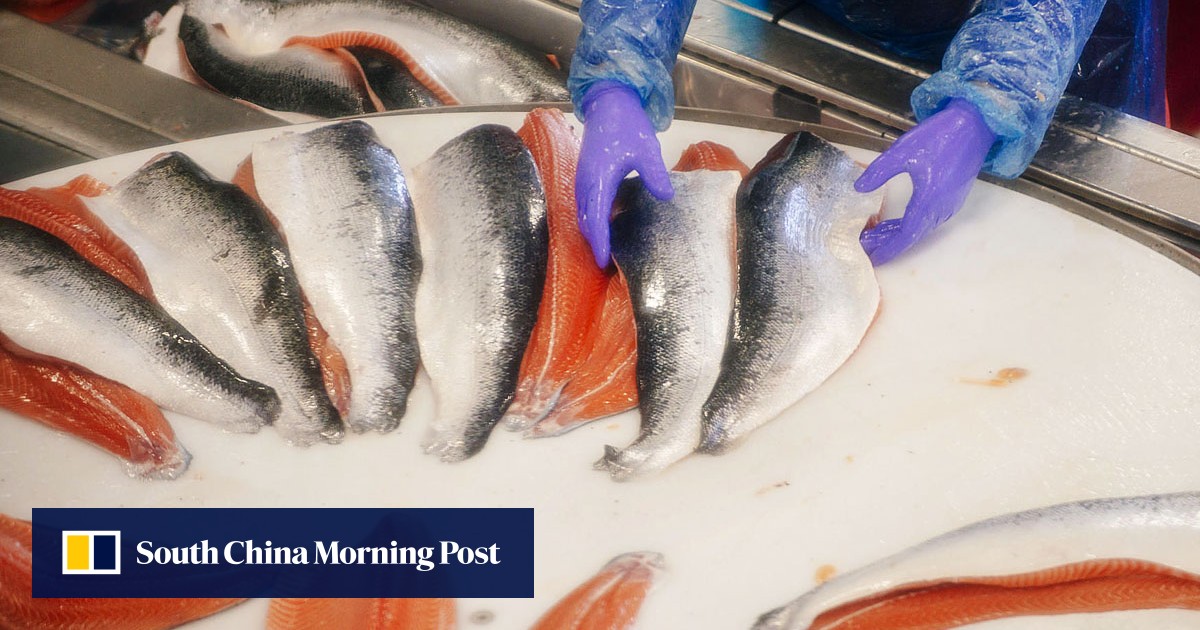 Norway rejects virus concerns as excuse for China's reason for salmon ...
