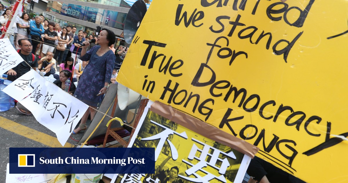 'Western-style democracy can only bring disaster', says party magazine ...