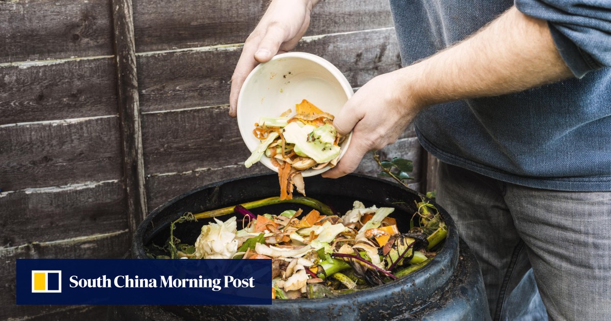 How to make your own compost bin | South China Morning Post