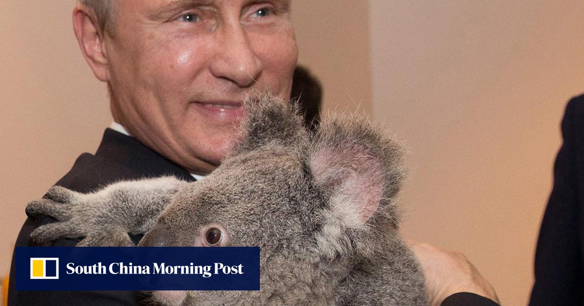 Russian President Vladimir Putin leaves G20 summit early, citing need ...