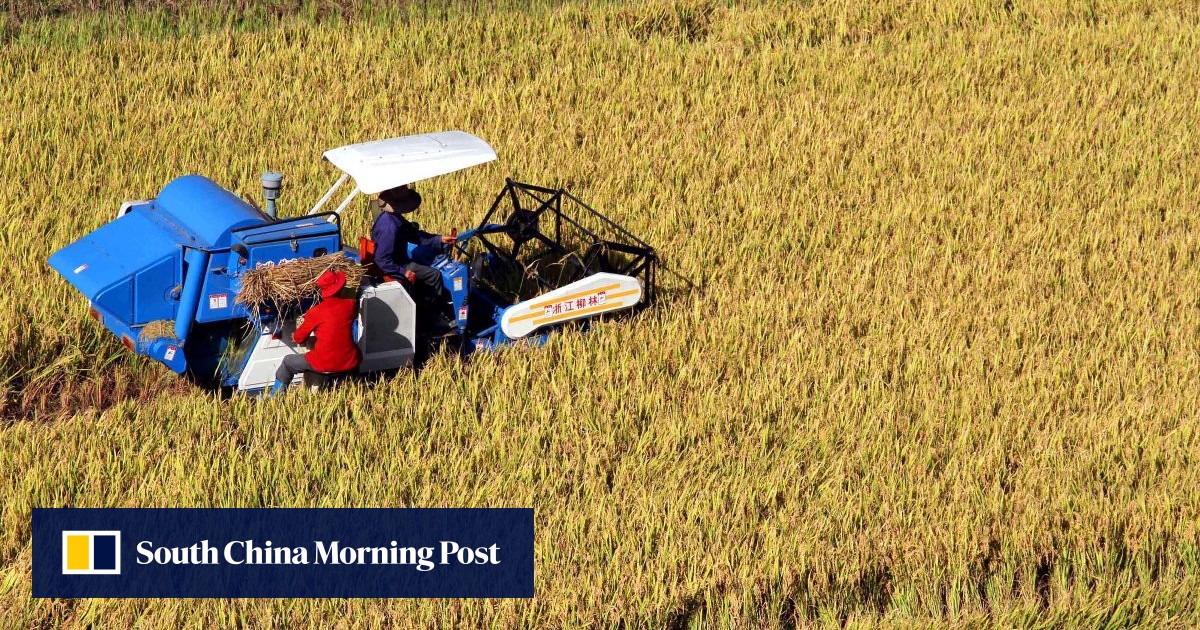 China's new farmers are using e-commerce to transform agriculture ...
