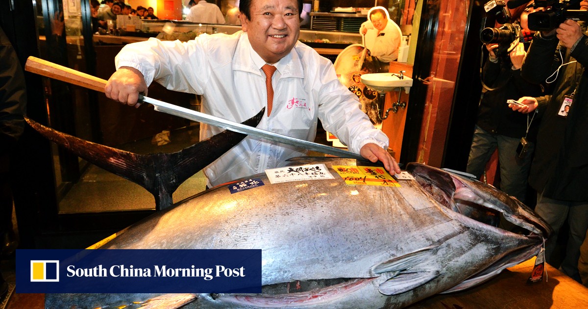 Giant tuna fetches HK$291,000 at Tokyo's new year auction, far short of ...