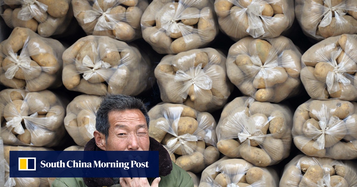 China to grow more potatoes amid struggle to feed world’s most populous ...