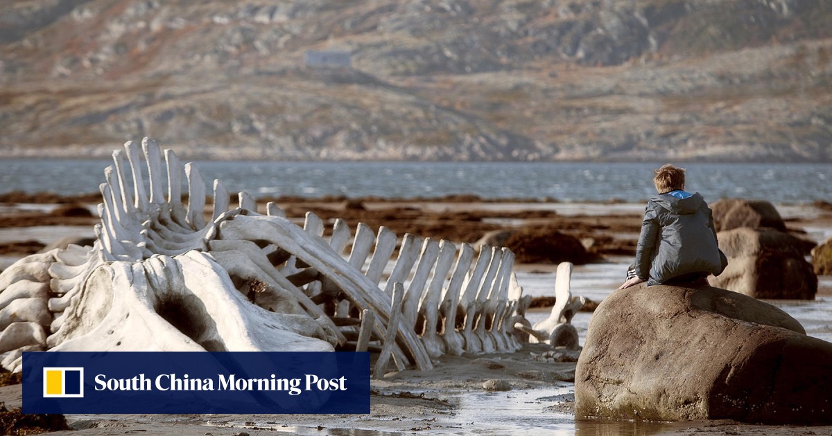 How award-winning film Leviathan has divided Russia | South China ...