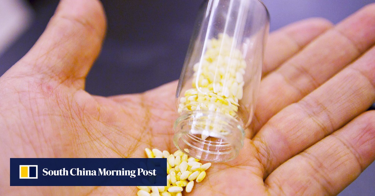 Genetically modified food in China: time to reap what scientists sow ...