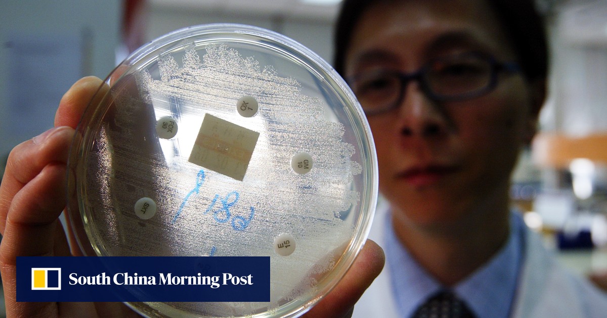 Superbug antibiotic resistance | South China Morning Post