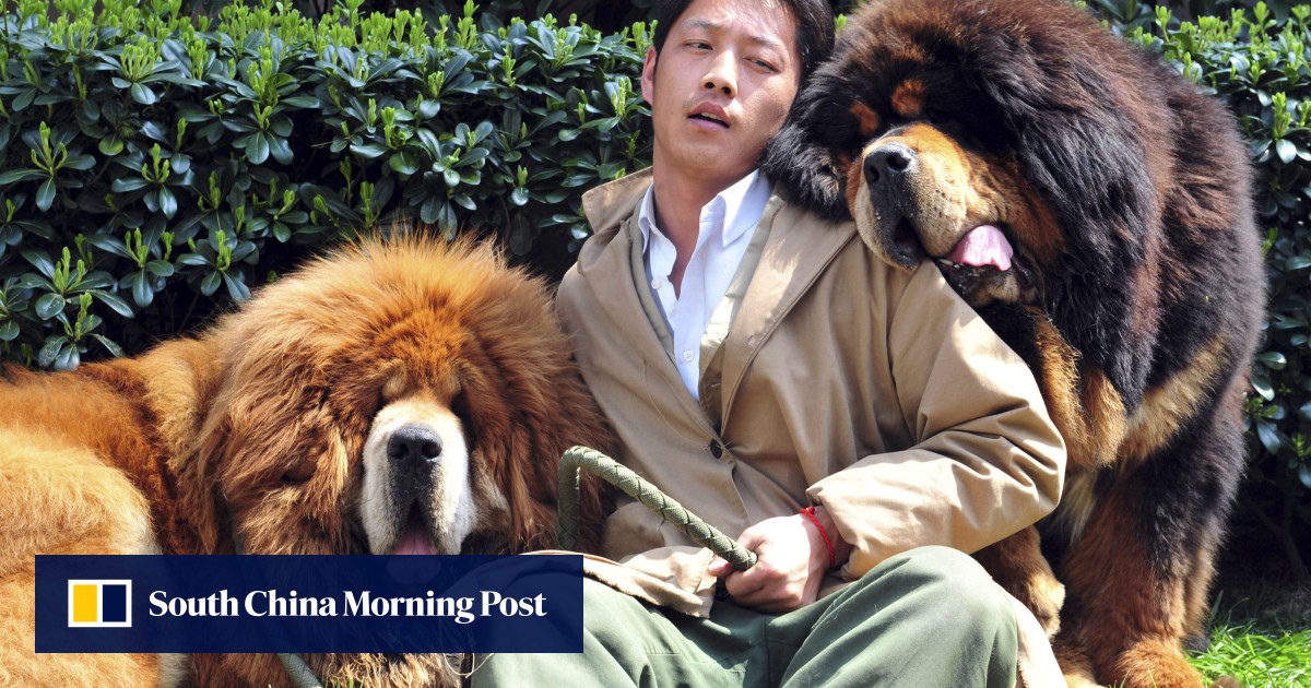Latest victim of China’s crackdown on corruption: sales of ‘luxury ...