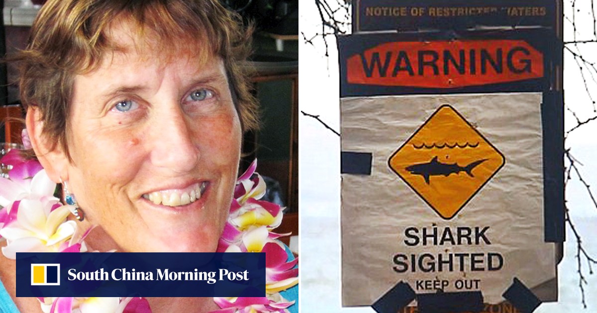 Woman, 65, killed in shark attack off Hawaii 'swam in the ocean every ...