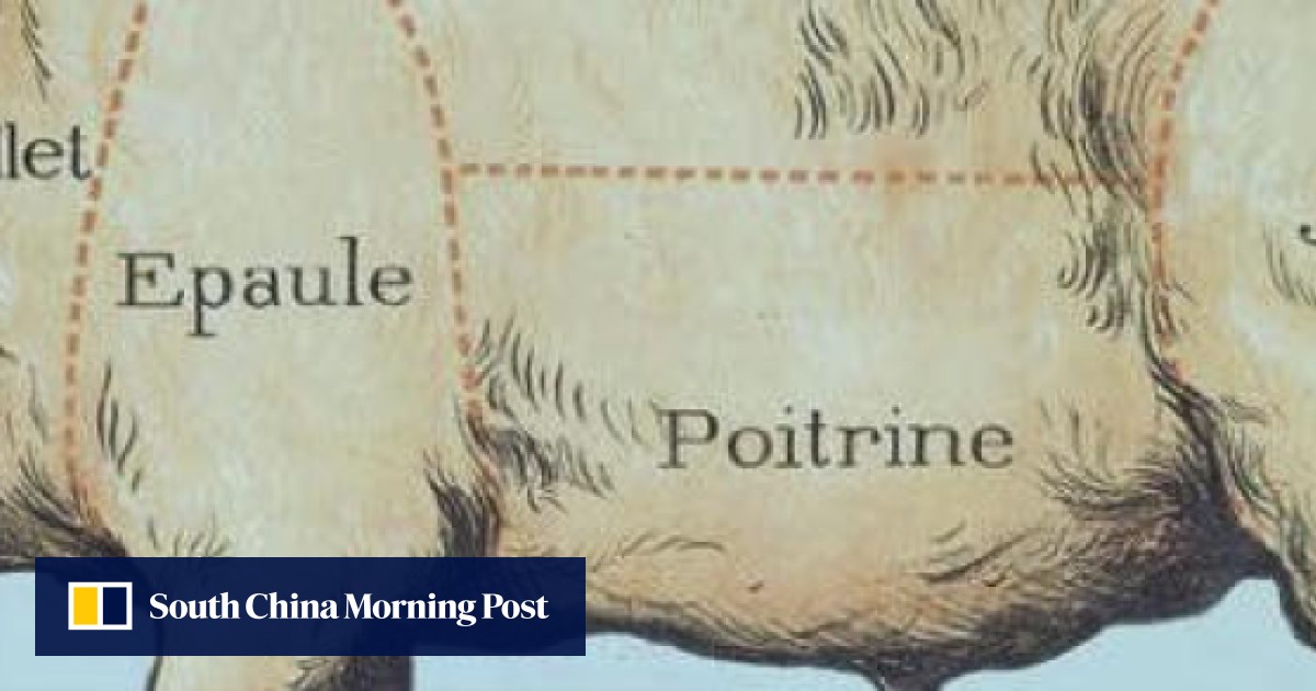 Book review: Lesser Beasts - A Snout-to-Tail history of the Humble Pig ...