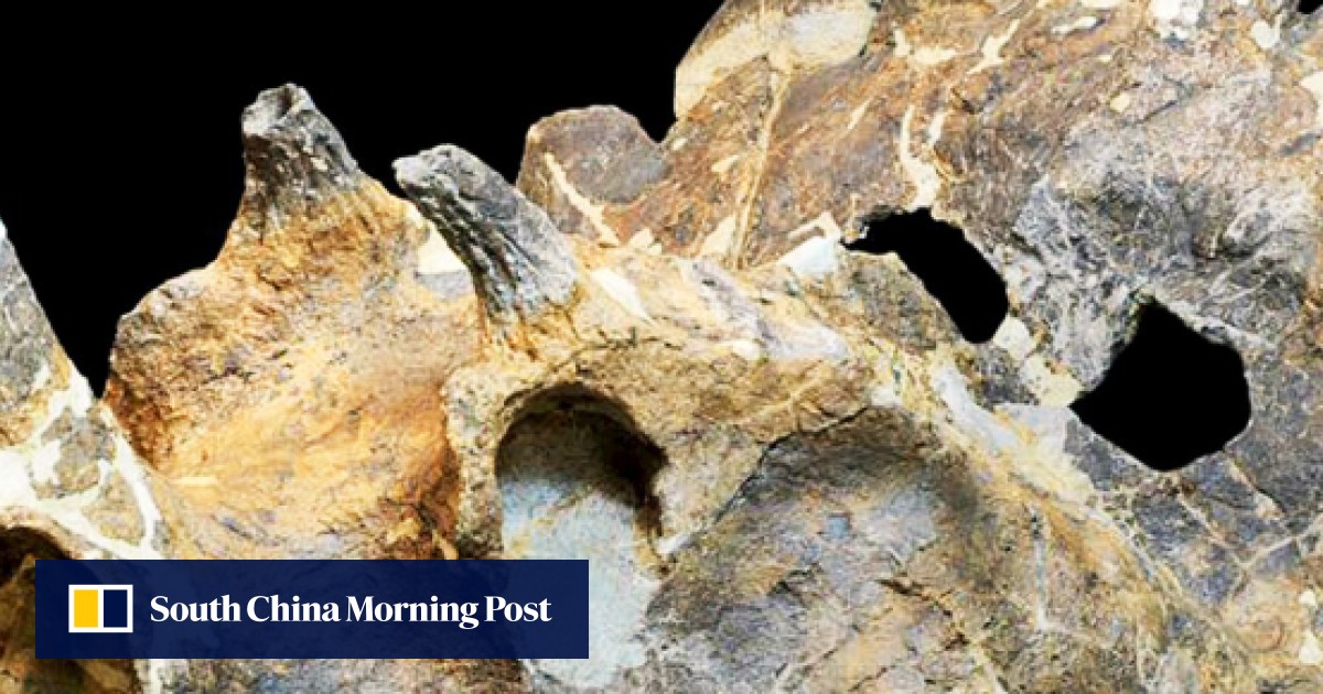 Meet ‘Hellboy’, the horned dinosaur who posed a devilish challenge to ...