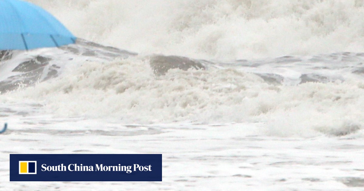 Typhoon Chan-hom grounds domestic flights in South Korea | South China ...