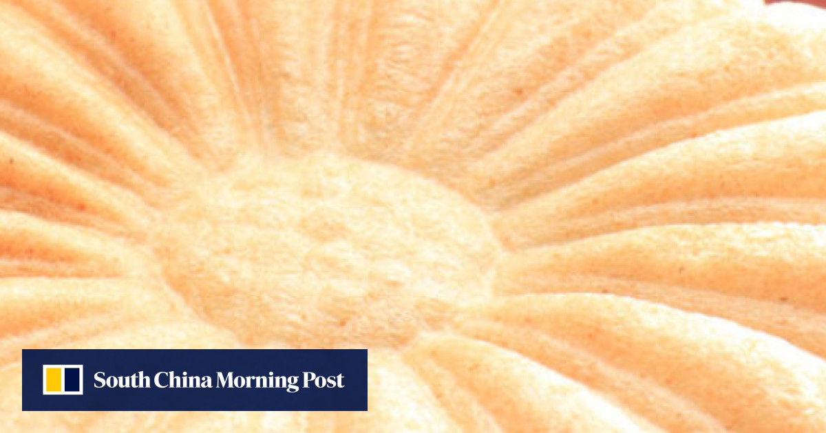 Japanese monaka, a teatime sweet treat | South China Morning Post