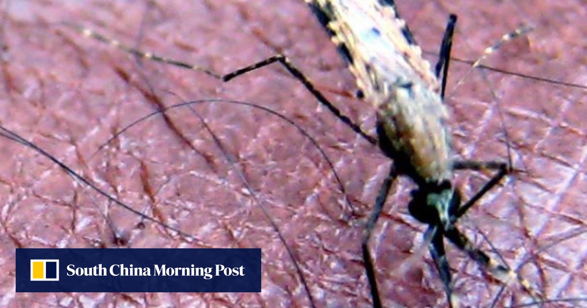 Myanmar factions set aside years of animosity to fight a deadly common ...