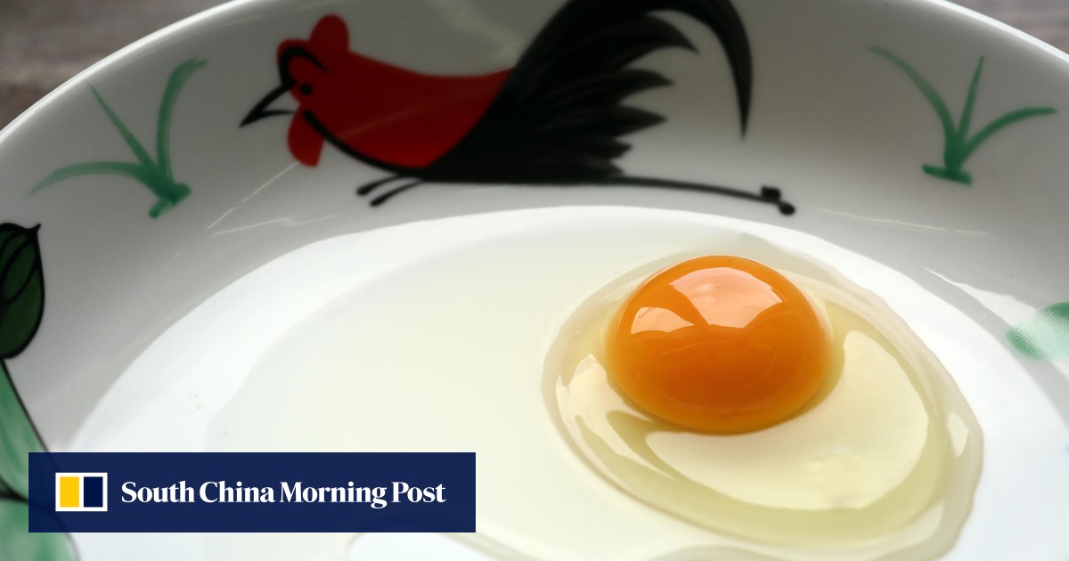Hong Kong chickens lay eggs to the strains of Mozart and Lady Gaga ...