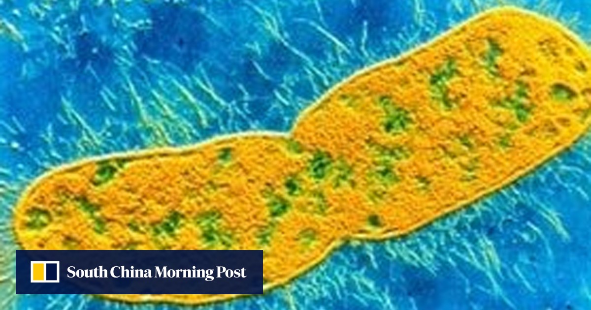 Gateway drug: Chinese research may open new front in war on superbugs ...