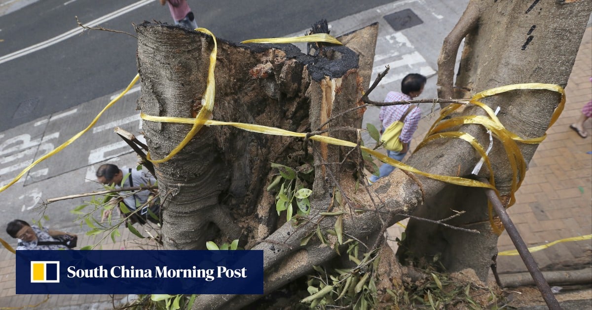 Hong Kong development chief admits PR disaster after four century-old ...