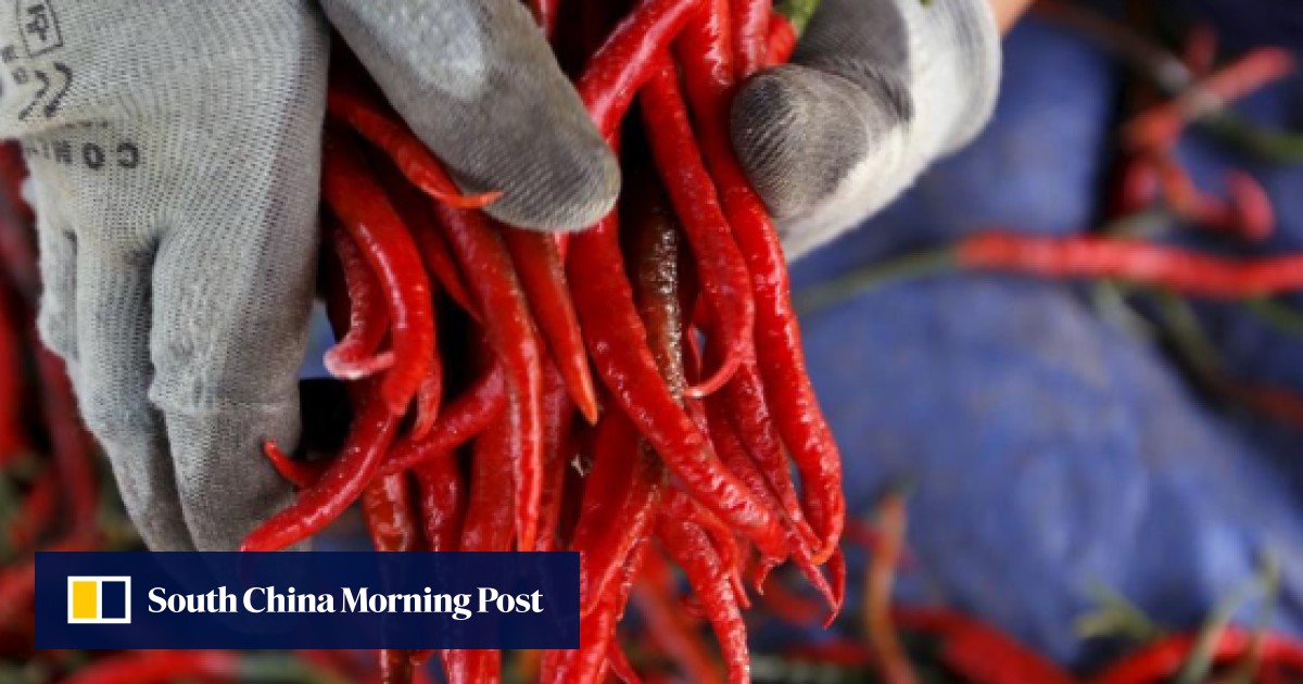 Chilli can kill cancer cells; bad sleepers at risk of heart disease ...