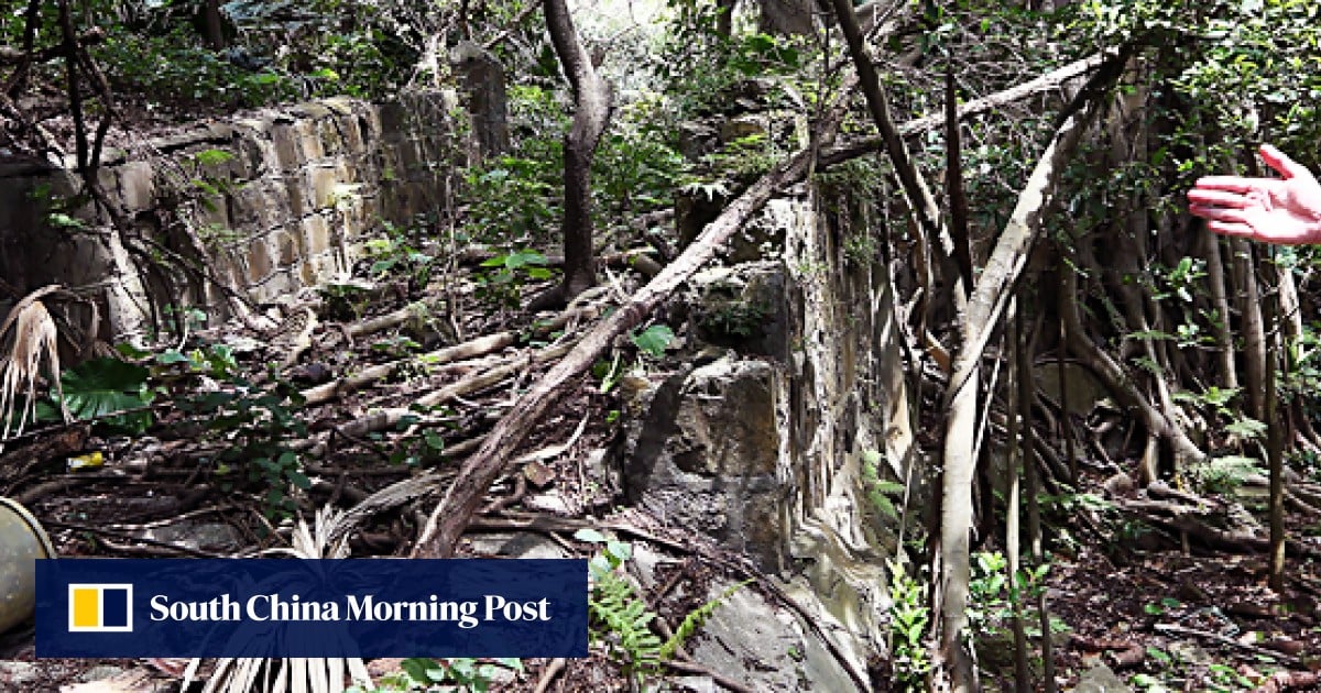 Abandoned Hong Kong ranch home to 60 bird species and endangered toad ...