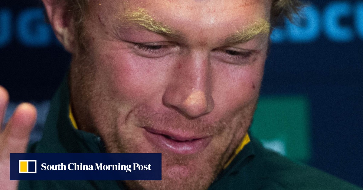 Springboks must move on quickly after Japan shock, says Schalk Burger ...