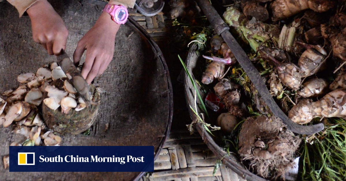 China's plan to beat poverty by 2020 an 'extremely difficult mission ...