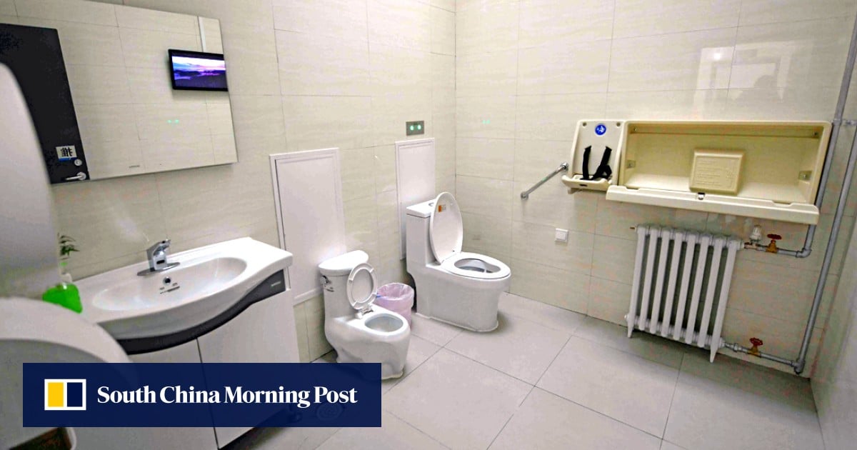 China's next revo-loo-tion: Beijing offers glimpse of public toilet ...