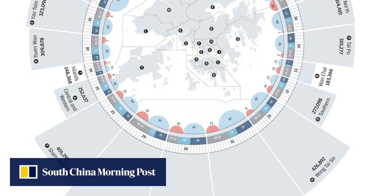INFOGRAPHIC: The district elections | South China Morning Post