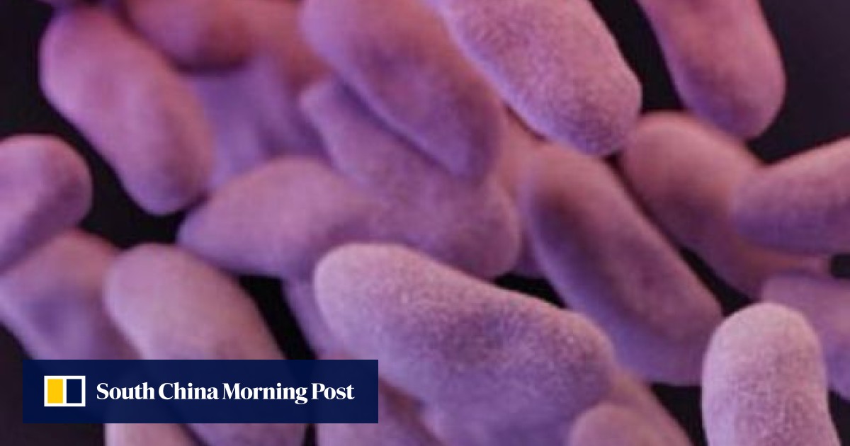 ‘The phantom menace’: New type of deadly superbug is on the rise, CDC ...
